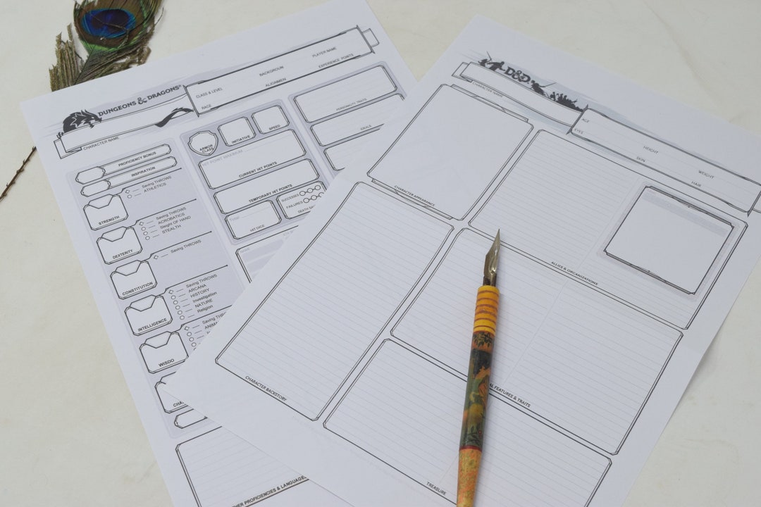 Dungeon Master Character Background : A4 Character Sheet PDF 5th ...