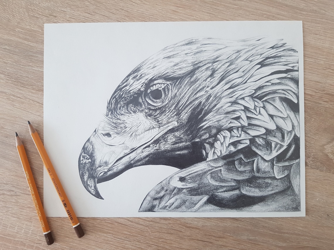 EAGLE PORTRAIT Original Graphite Pencile Drawing Handmade - Etsy