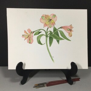 Alstroemeria Painting, Original Watercolor, 12 X 9 Inches, Botanical ...