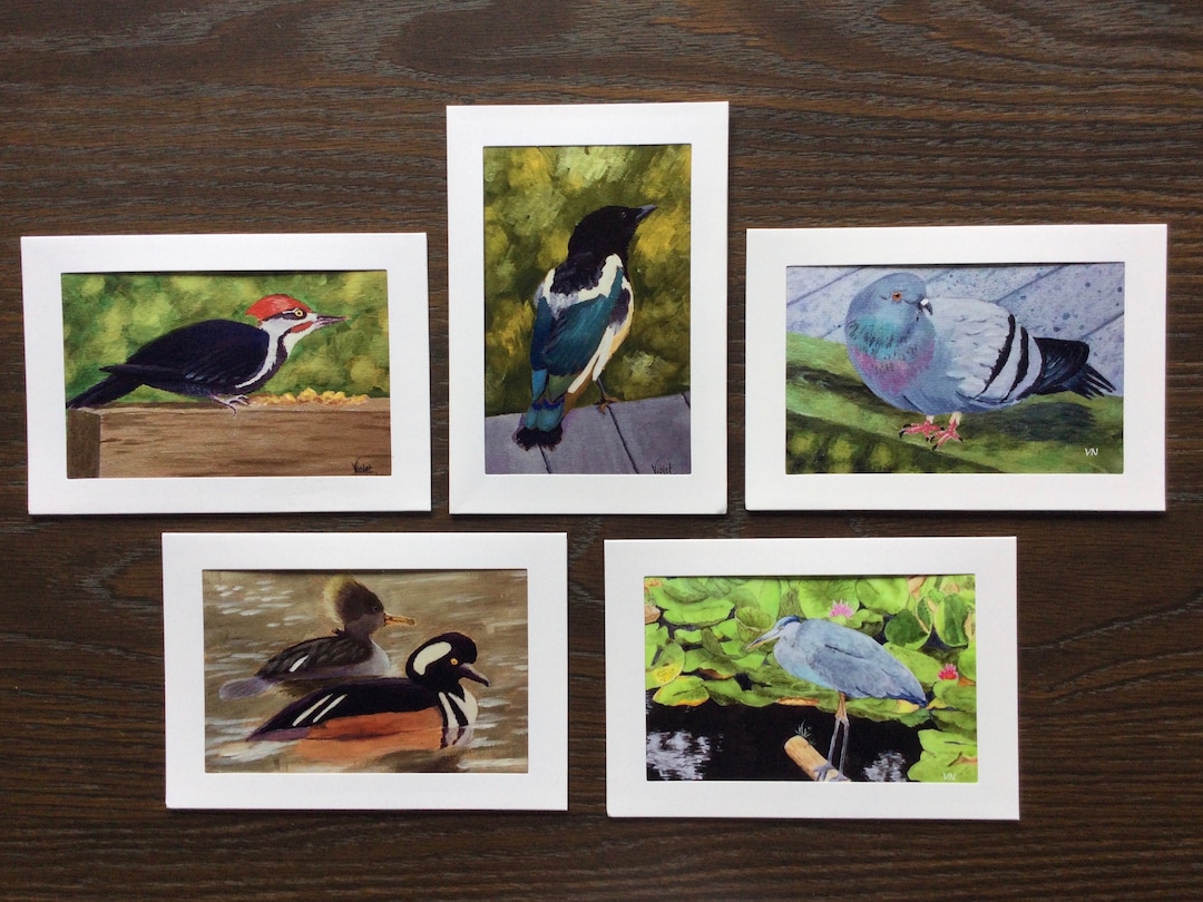 BIRDS CARDS - SET 1 - Woodpecker Etc., 5 Card Collection, Photo Prints ...
