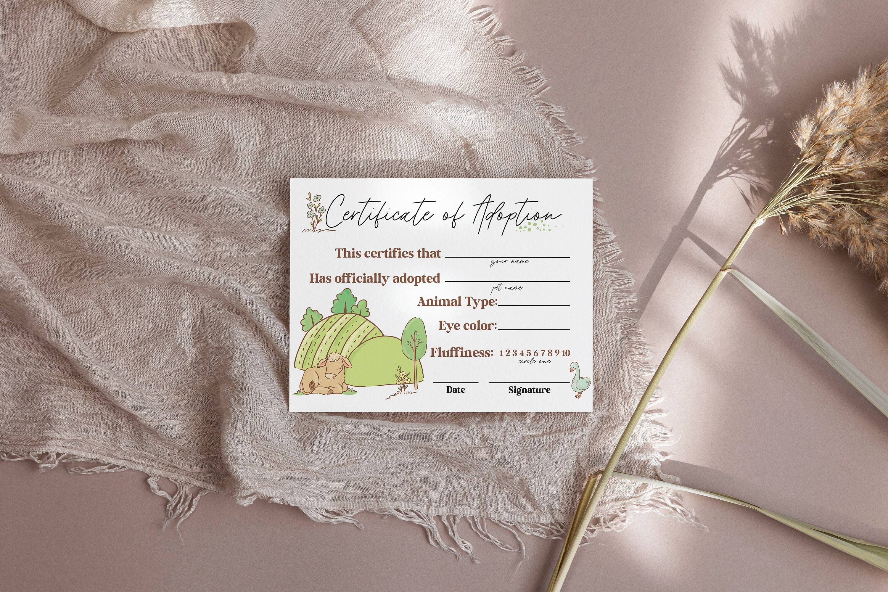 Farm Animal Adoption Certificate Adopt an Animal Barnyard Birthday ...