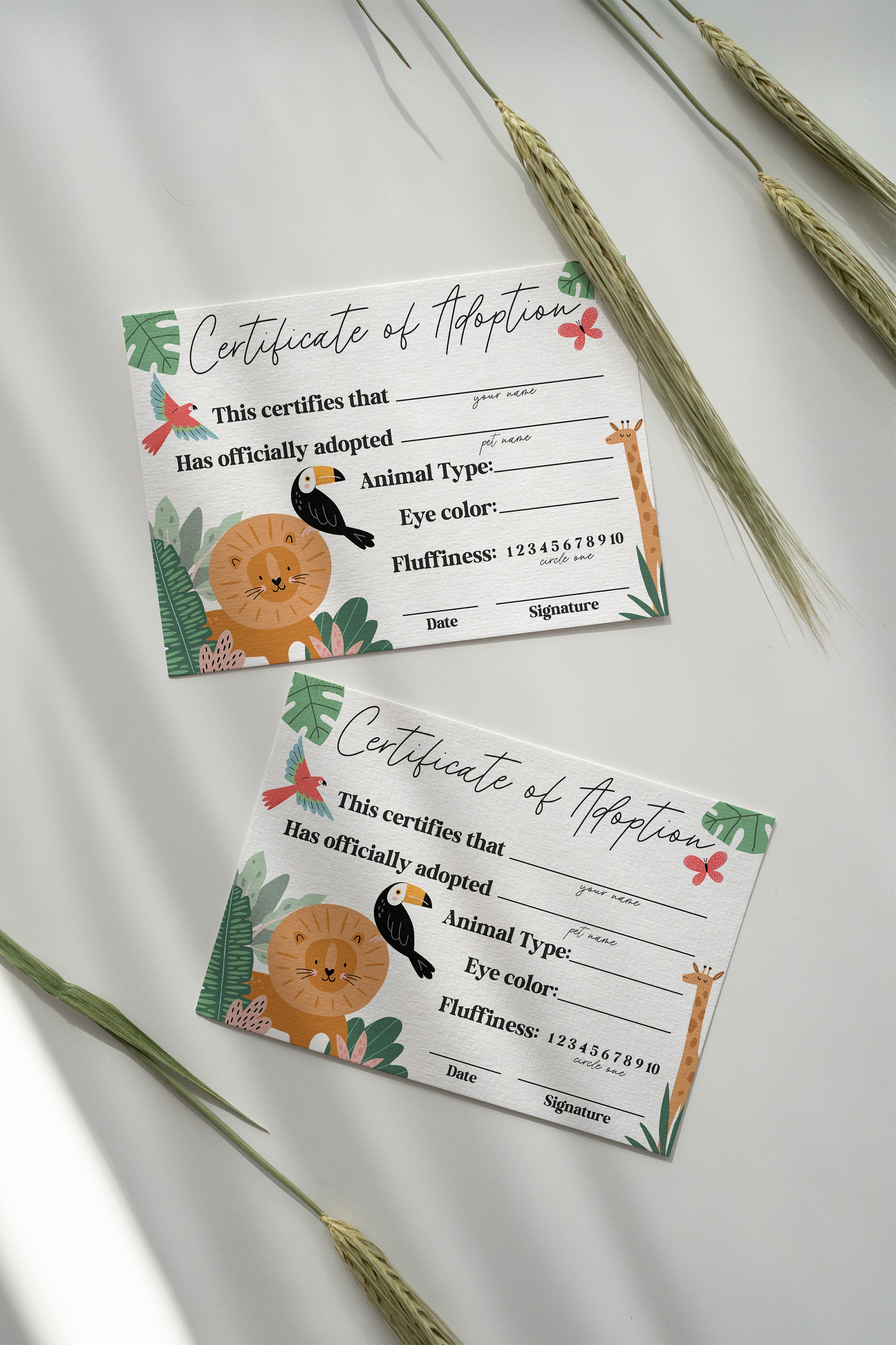 Animal Adoption Certificate | Adopt a Wild Animal | Tropical Animal ...