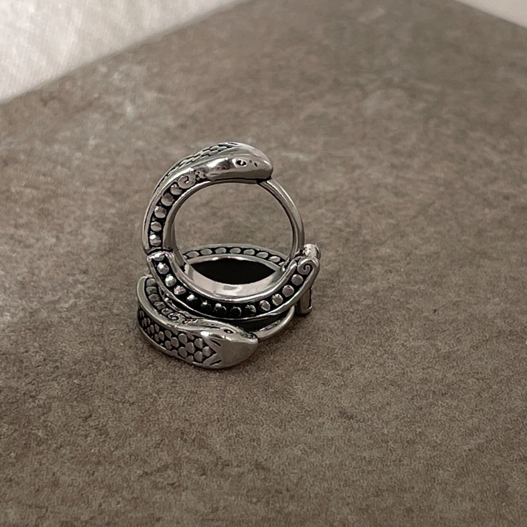 Modern Titanium Snake Hoop Earrings - Snake Hoops - Gift for Him - Reptile - Unisex Jewelry - Etsy