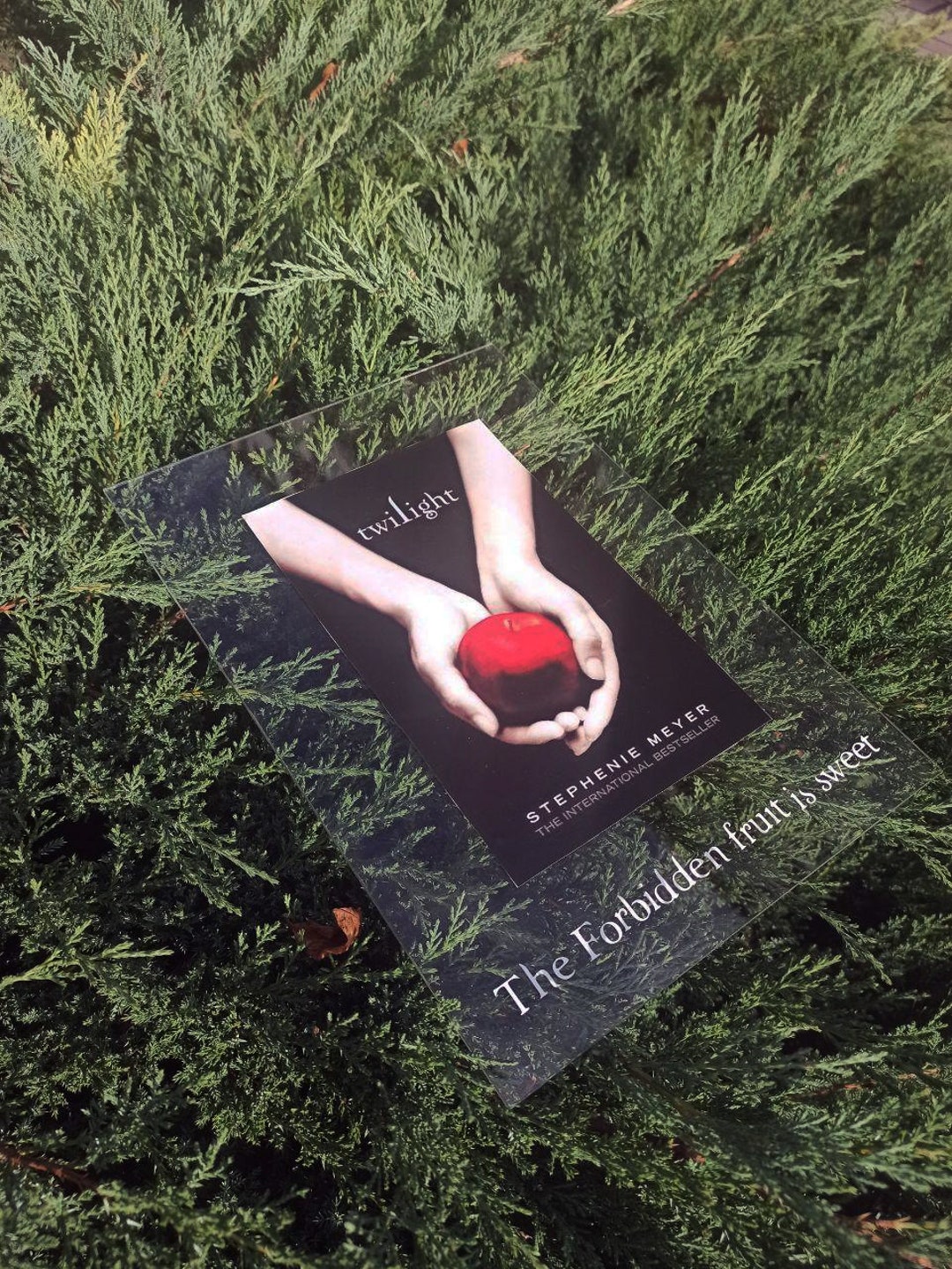 Custom Acrylic Book Plaque, Personalized Spotify Code, Custom Gift for ...