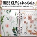 Floral Hourly Weekly Schedule Planner Daily Schedule Weekly - Etsy