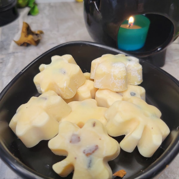 Money Wax Melt - Etsy