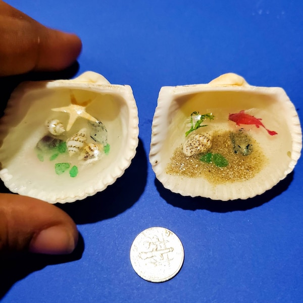 Sea Shell Resin Art - Etsy