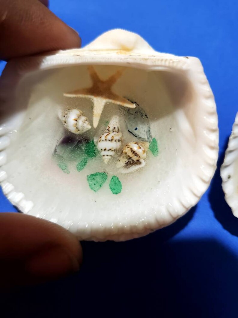 Handmade Sea Shell Resin Art: Ocean Theme Decor - Etsy