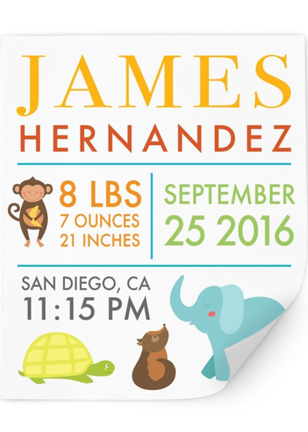 Birth Poster Newborn Poster - Etsy