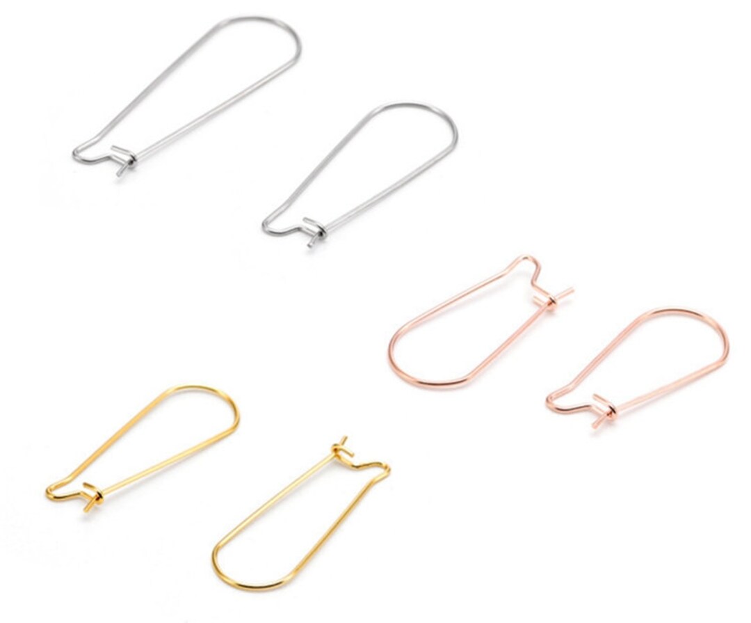 50pcs Stainless Steel French Ear Wires, Kidney Ear Wires, Earring Hooks ...