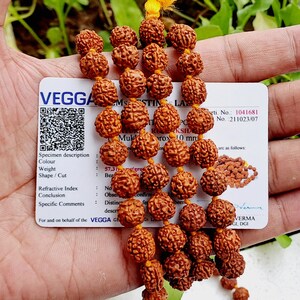 Natural Haridwar 108+1 Rudraksha Japa Mala 5 Faces, Lord Shiva's Rosary ...