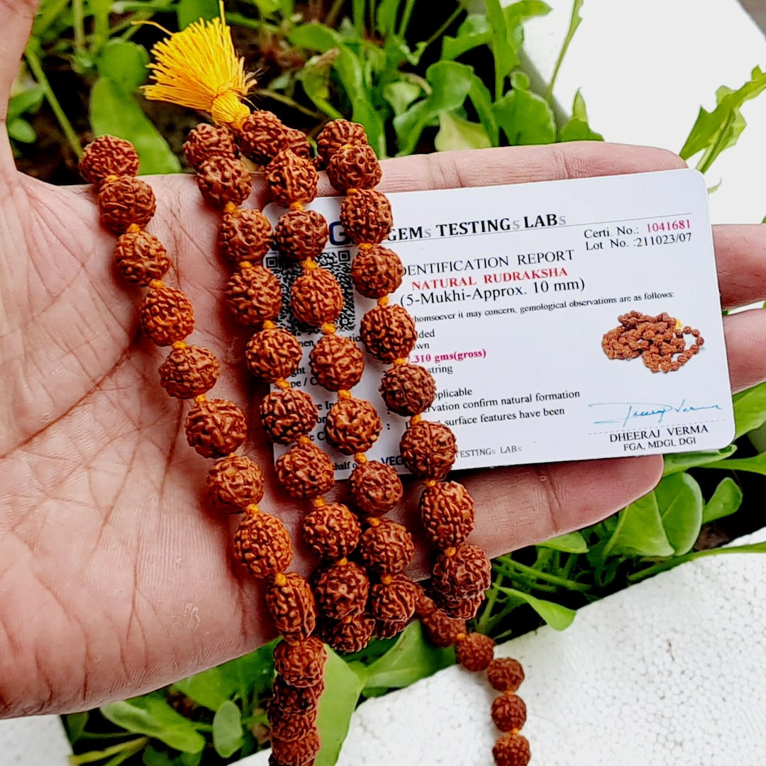 Natural Haridwar 108+1 Rudraksha Japa Mala 5 Faces, Lord Shiva's Rosary ...