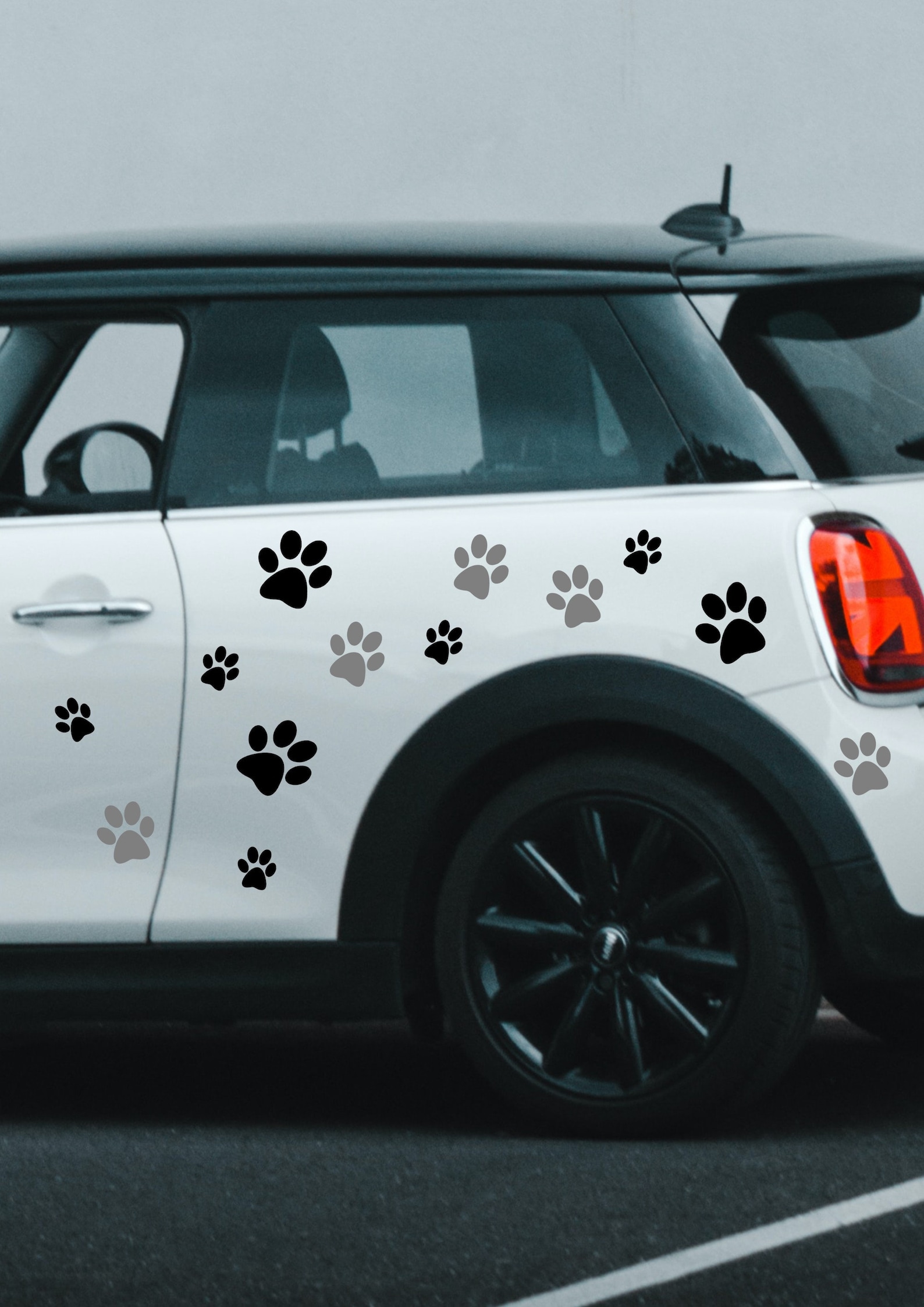 Paw Print Vinyl Wall Decals: Toy Box, Car Stickers - Etsy UK