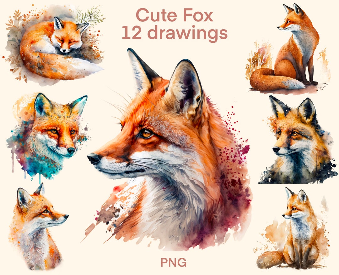 Cute Fox Png, 12 Foxes Clipart, Digital Print, Illustration Set ...