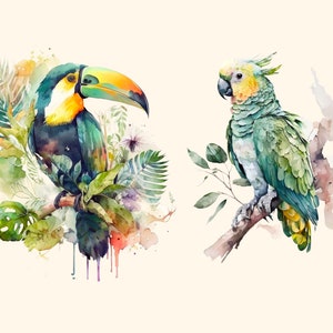 Tropical Animals Watercolor Clipart Png, Cute Animals Digital Print ...