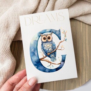 Letters and Numbers With Owl, Alphabet Watercolor Png, 36 Floral ...