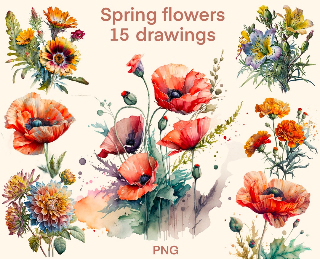 Spring Flowers Clipart Watercolor Png, Poppies Digital Print ...