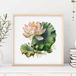 Water Lily Clipart Watercolor Png, Flowers Digital Print, Lotus Flower ...