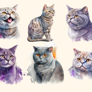 British Cat Clipart Watercolor Png, Cute Cat Digital Print ...