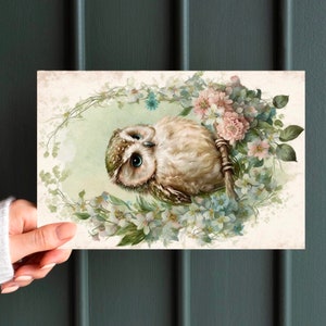 Owl Digital Cards, Journal Cards, Vintage Postcards Print, Digital ...