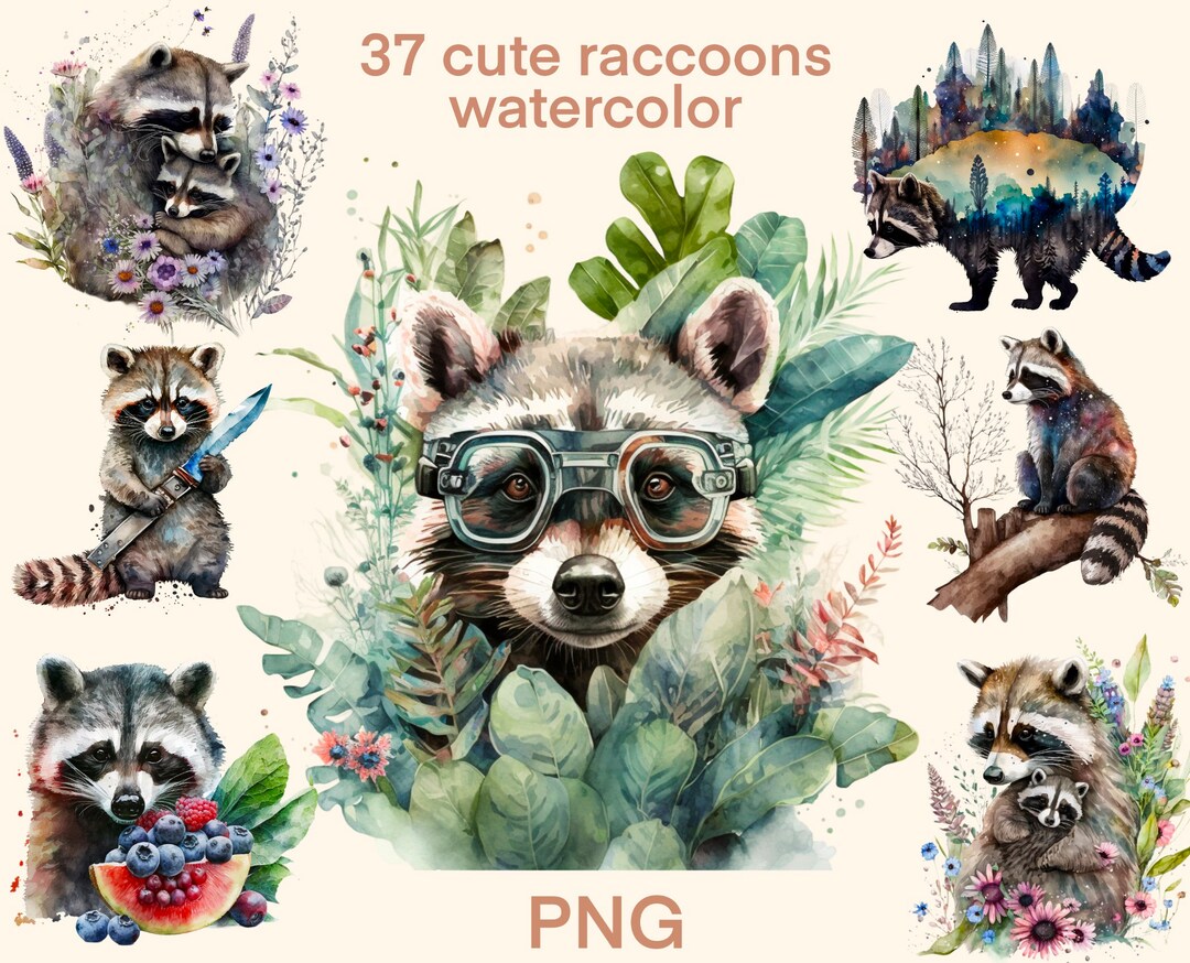 Watercolor Raccoons Clipart Png, Cute Raccoon Digital Print ...