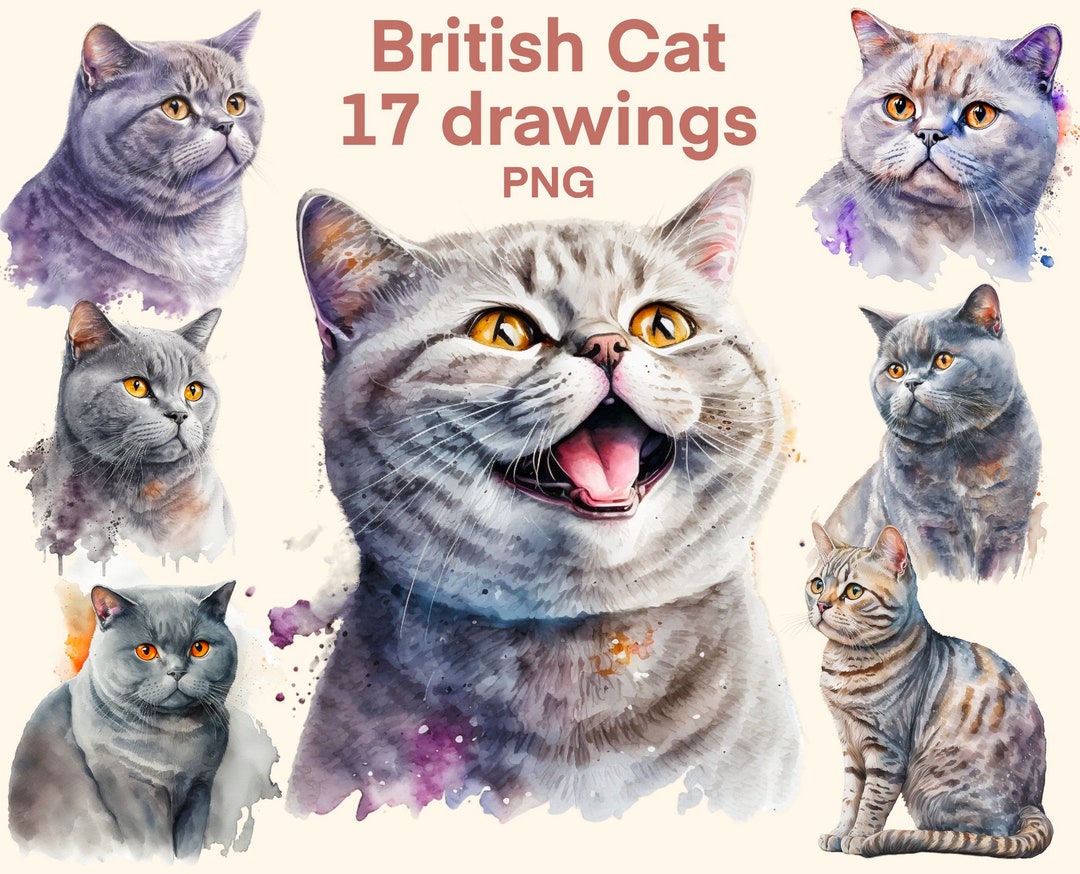 British Cat Clipart Watercolor Png, Cute Cat Digital Print ...