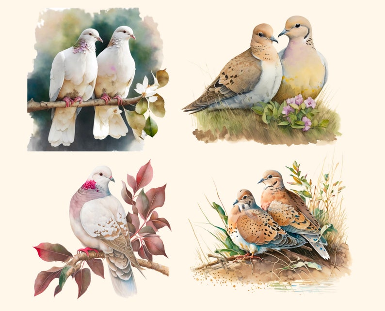 Pigeons Clipart Watercolor Png Cute Pigeon Digital Print - Etsy