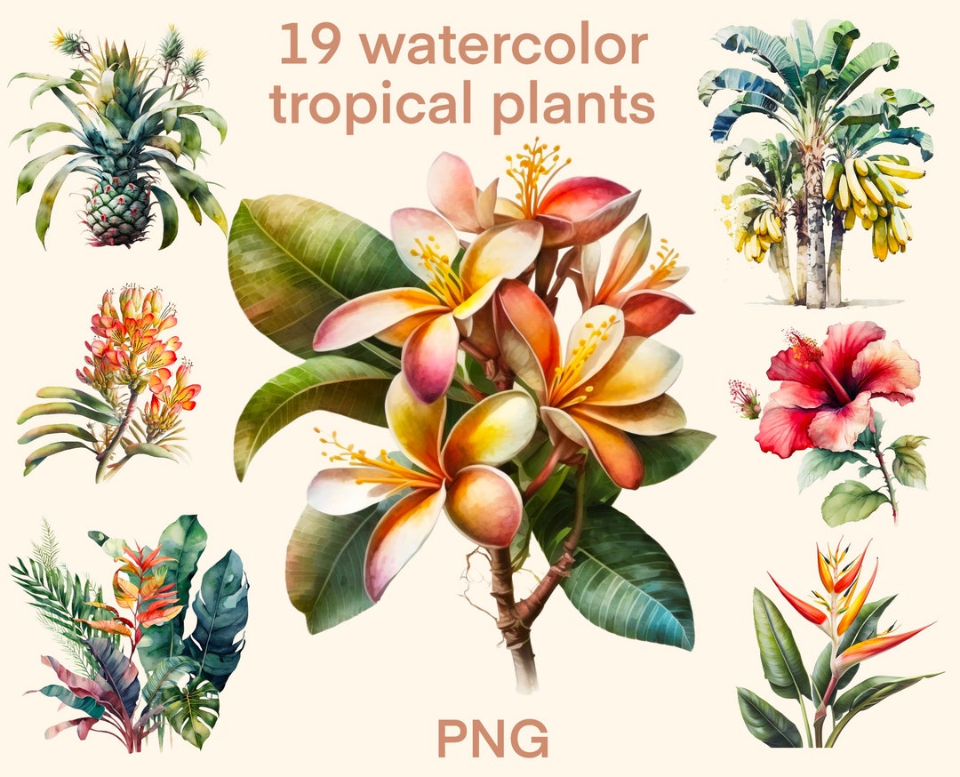 Tropical Plants Watercolor Clipart Png, Cute Flowers Digital Print ...
