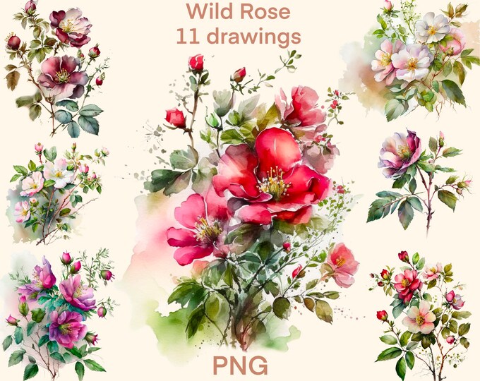 Beautiful Wild Rose Clipart, Watercolor Roses Clip Art, Floral PNG ...