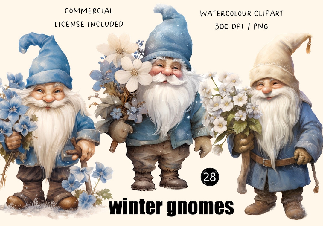 Winter Gnomes, Christmas Clipart Watercolour, Gnomes With Flowers ...