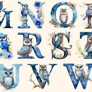 Letters and Numbers With Owl, Alphabet Watercolor Png, 36 Floral ...