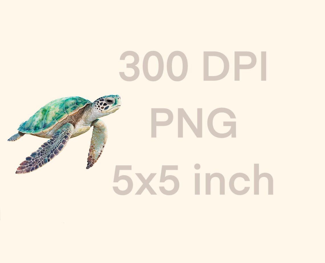Cute Turtles Watercolor Clipart Undersea World Digital Print - Etsy
