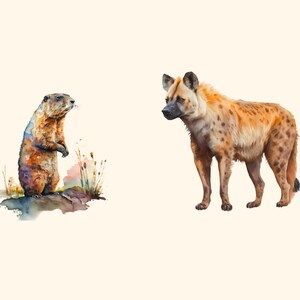 Watercolor Animals, Savannah Clipart Png, Cute 25 Animals Digital Print ...