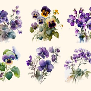 Pansies and Violet Clipart Watercolor Png, Flowers Digital Print ...