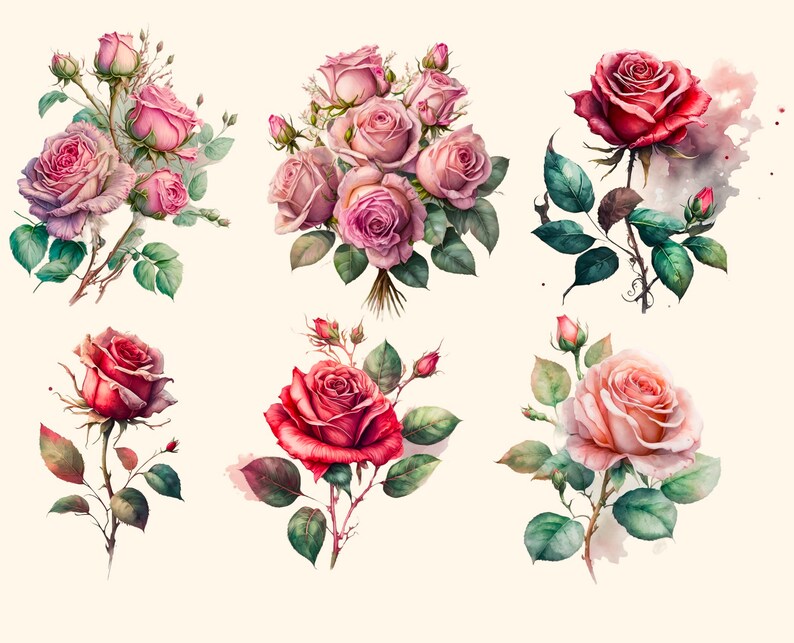 Roses Clipart Watercolor Png Flowers Digital Print - Etsy