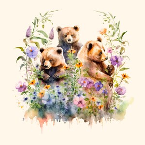 Watercolor Bears Png, 16 Bears Clipart, Digital Print, Illustration Set ...