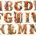 Vintage Alphabet Watercolor Png, 26 Floral Letters Clipart, Digital ...