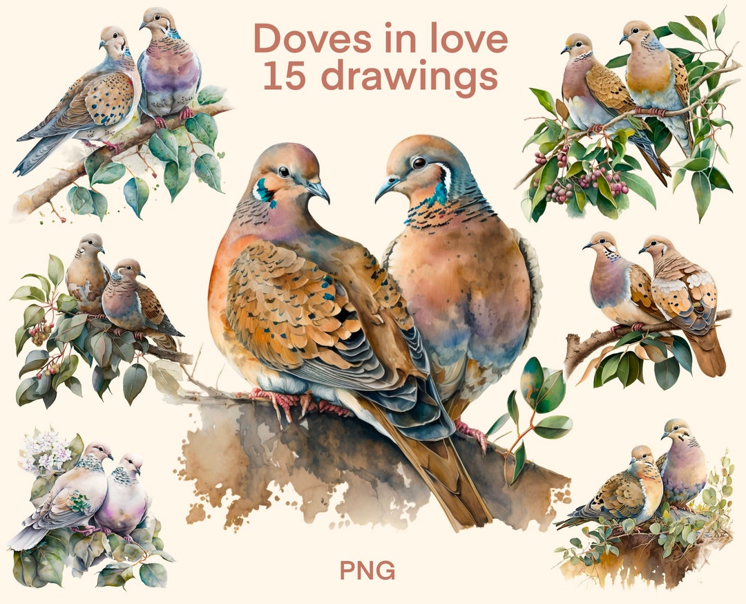 Pigeons Clipart Watercolor Png, Cute Pigeon Digital Print, Illustration ...