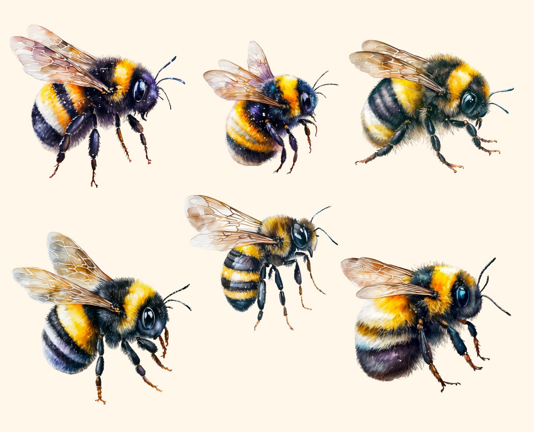 Bees Clipart Watercolor Png Cute Bee Digital Print Hive - Etsy UK