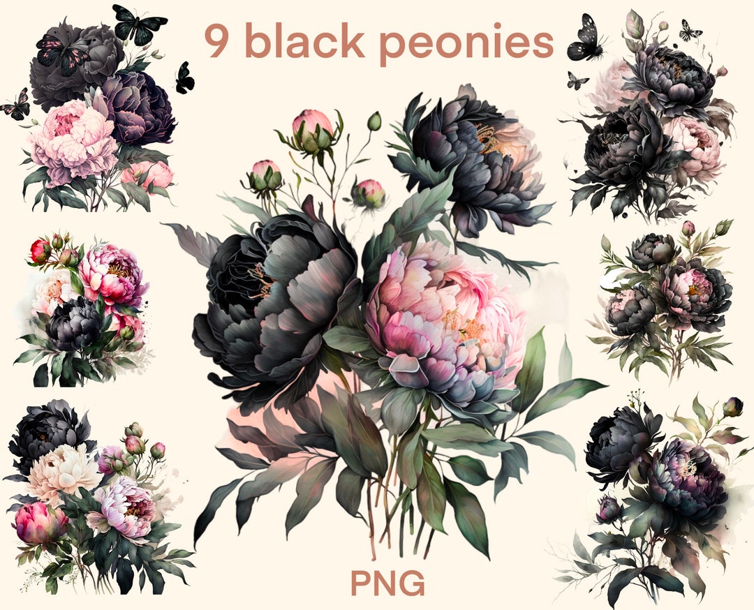 Black Peonies Clipart Watercolor Png, Cute Floral Digital Print ...