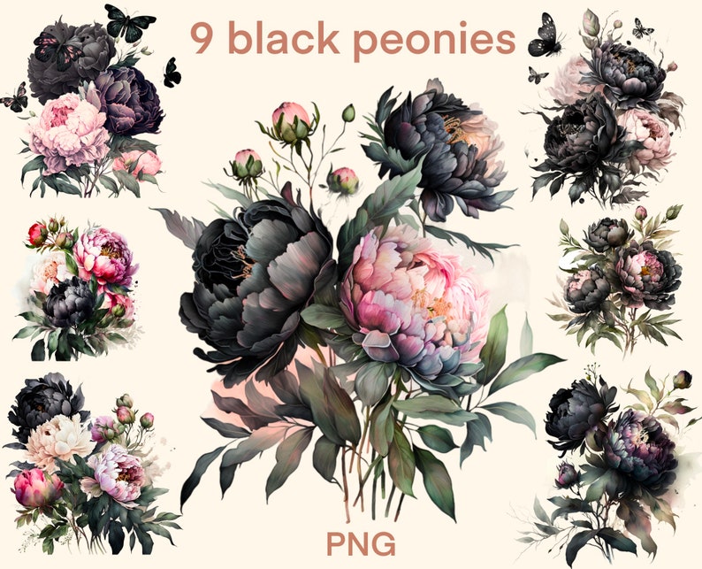 Black Peonies Clipart Watercolor Png Cute Floral Digital - Etsy