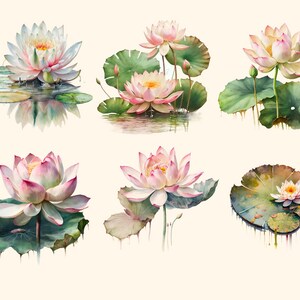 Water Lily Clipart Watercolor Png, Flowers Digital Print, Lotus Flower ...