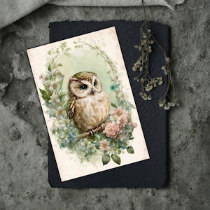 Owl Digital Cards, Journal Cards, Vintage Postcards Print, Digital ...