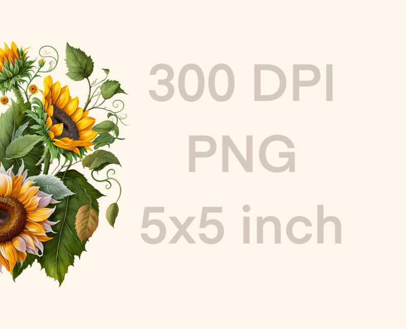 Sunflowers Clipart Watercolor Png Digital Print Illustration - Etsy