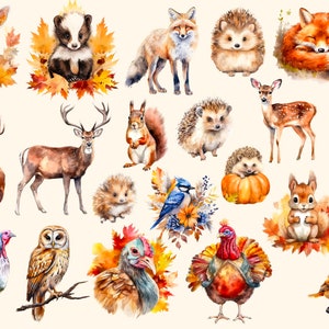 Autumn Watercolor Clipart Png, Autumn Animals in the Forest, Autumn ...