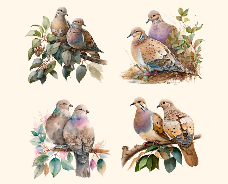 Pigeons Clipart Watercolor Png Cute Pigeon Digital Print - Etsy