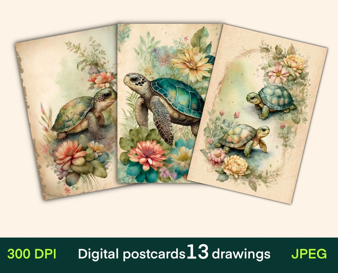 Turtle Digital Cards, Journal Cards, Vintage Postcards Print, Digital ...
