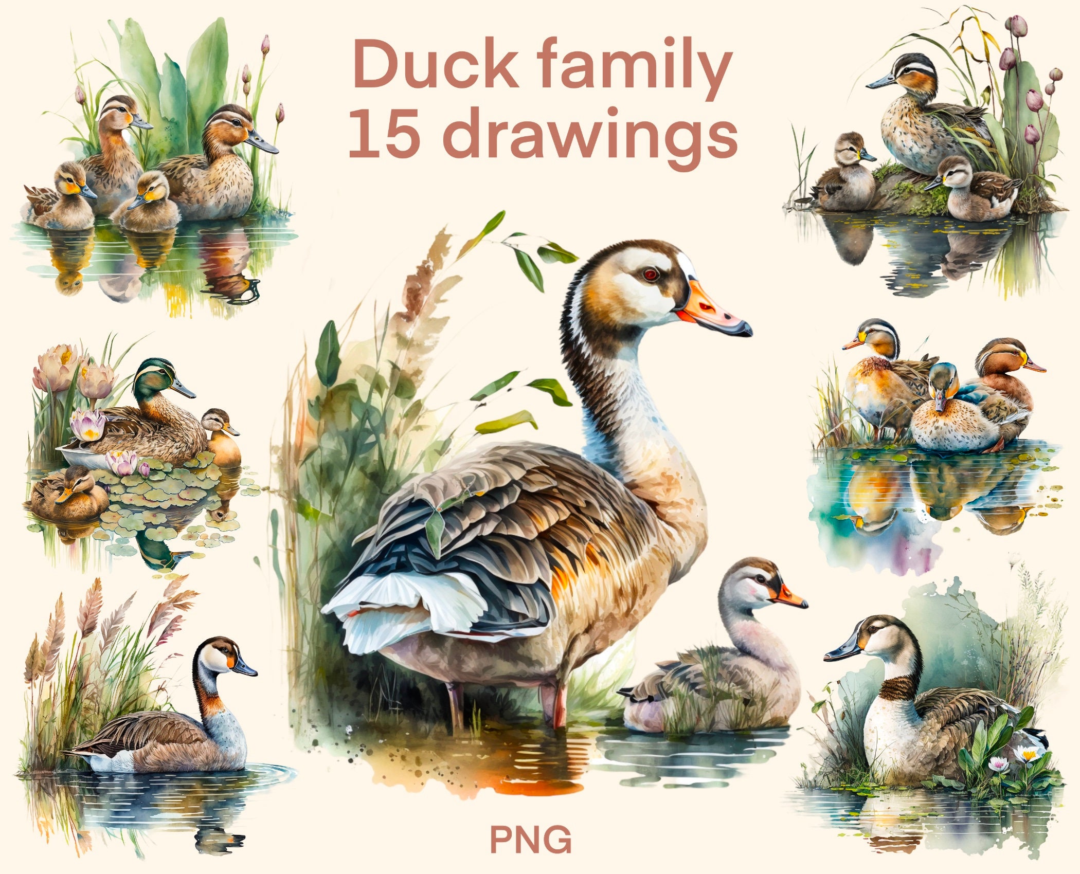 Duck Family Clipart Watercolor Png Duck Digital Print - Etsy Canada