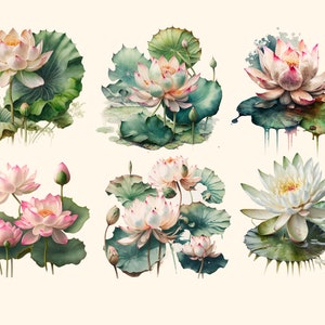 Water Lily Clipart Watercolor Png, Flowers Digital Print, Lotus Flower ...