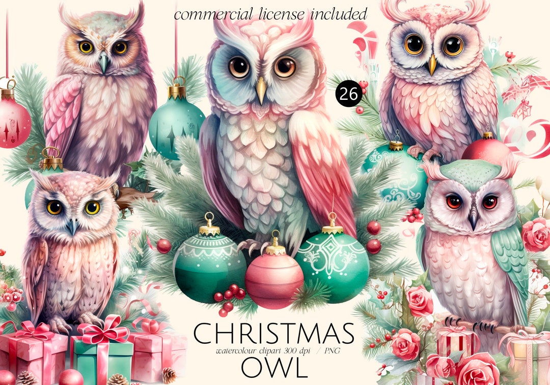 Christmas Owl, Santa Claus Watercolour Clipart, Merry Christmas ...
